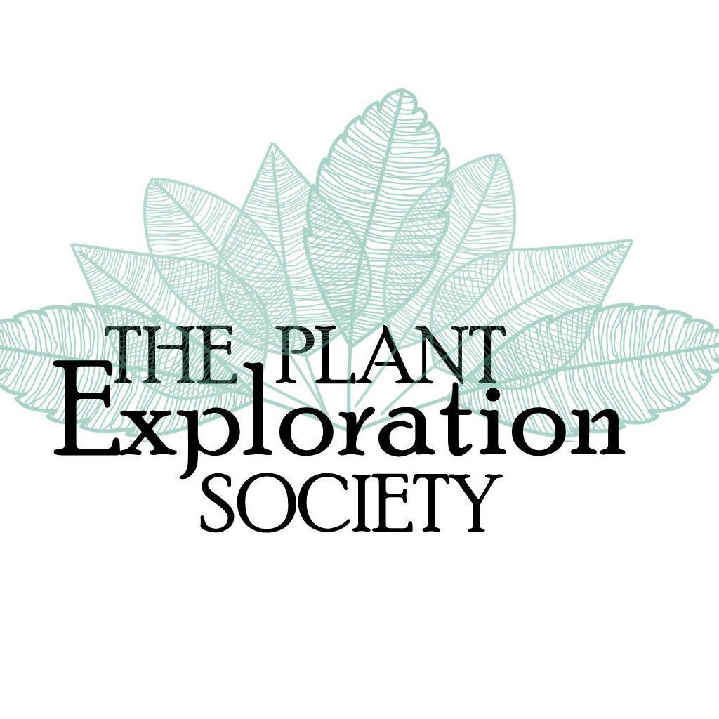 PlantExploration - Etsy