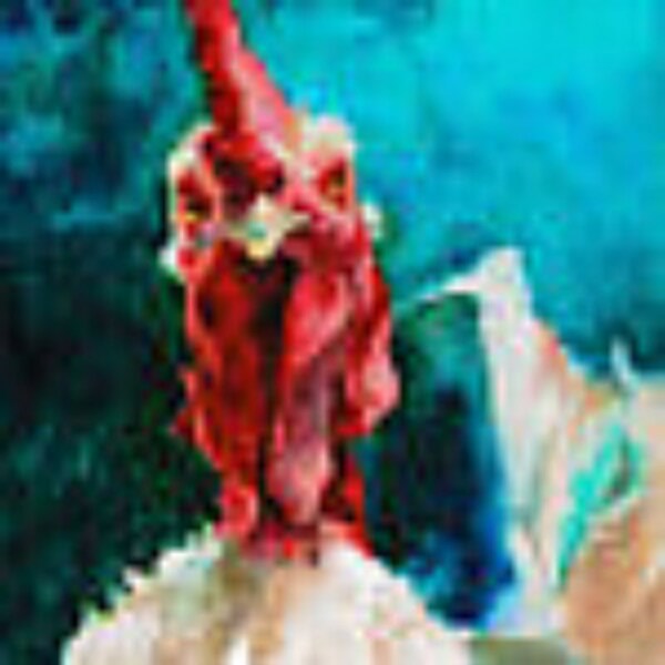 Pink Flamingo Note Cards / Bird Art / Bird Watercolor / Greeting Cards ...