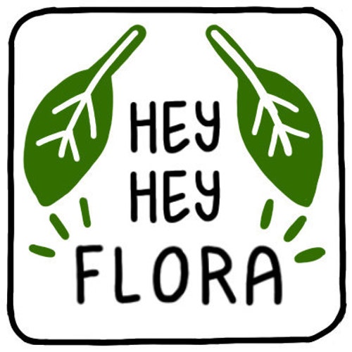 heyheyflora - Etsy