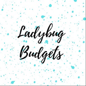LadybugBudgets - Etsy