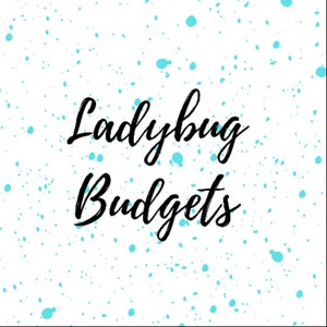 LadybugBudgets - Etsy