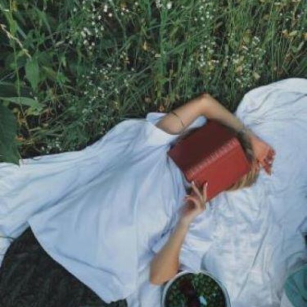 Moody Artwork Hygge Mood Misty Morning Metal Wall Art Tranquil Nature ...