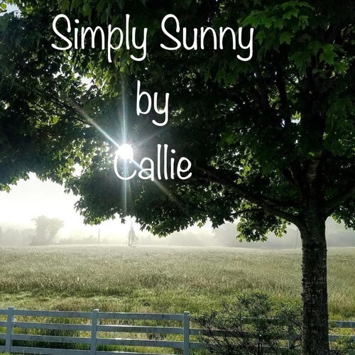 SimplySunnyByCallie - Etsy