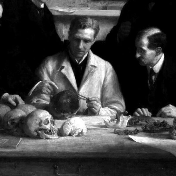 Cro-magnon Skull Replica - Etsy