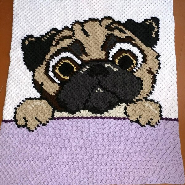 Lab C2c Graph Crochet Pattern With Color Chart Instructions. - Etsy