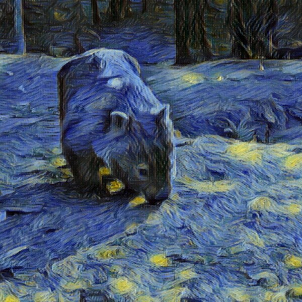 Character Dialogue Graphic Organizer Worksheet - Etsy