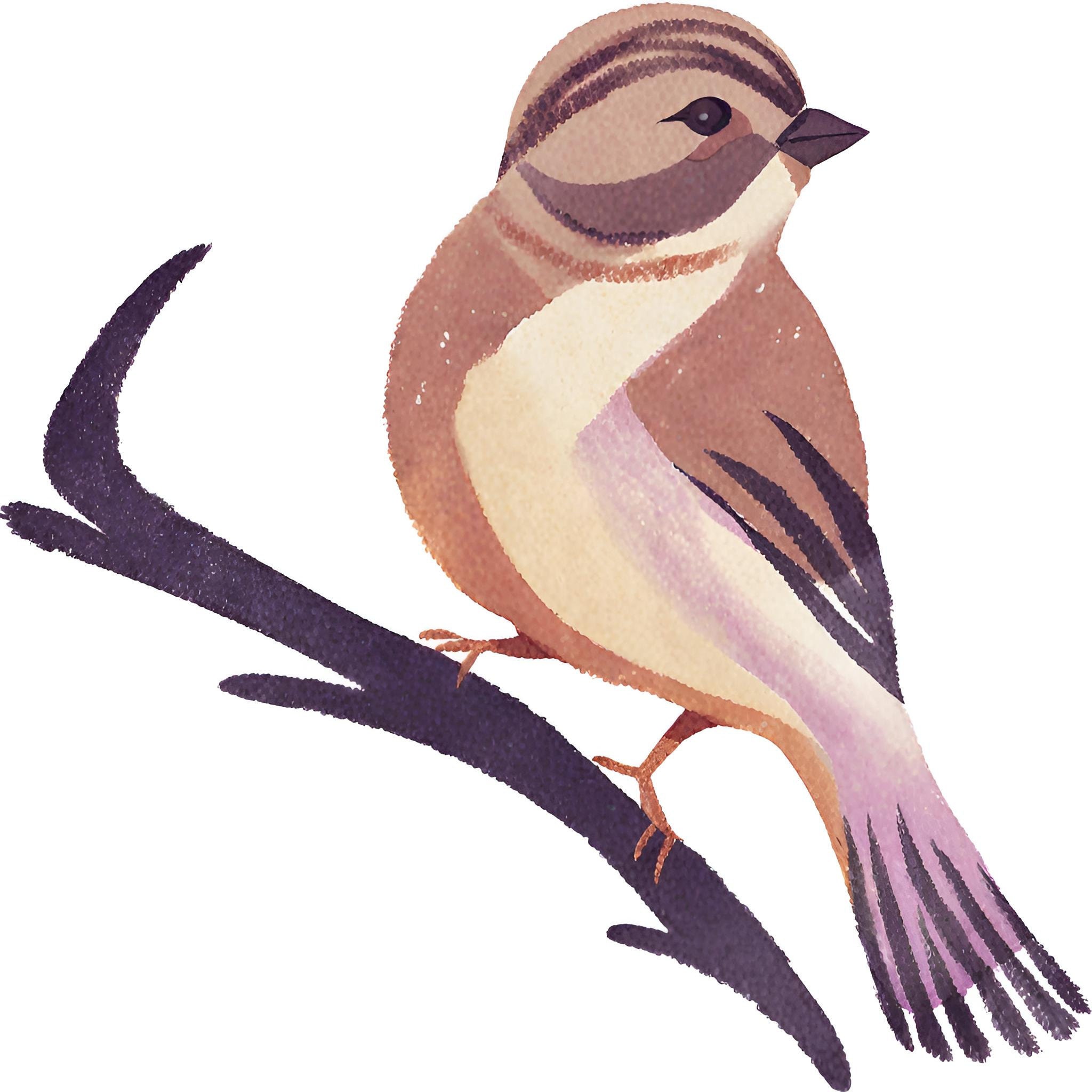 DigitalSparrowUS - Etsy