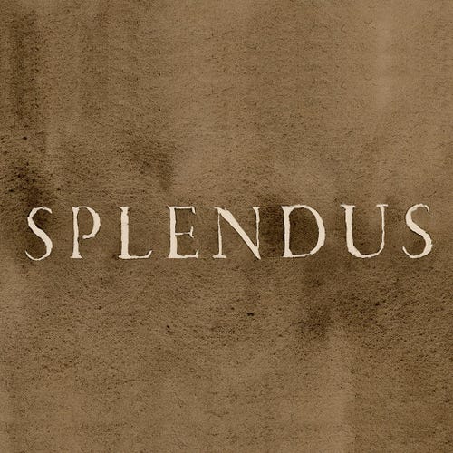 Splendus - Etsy