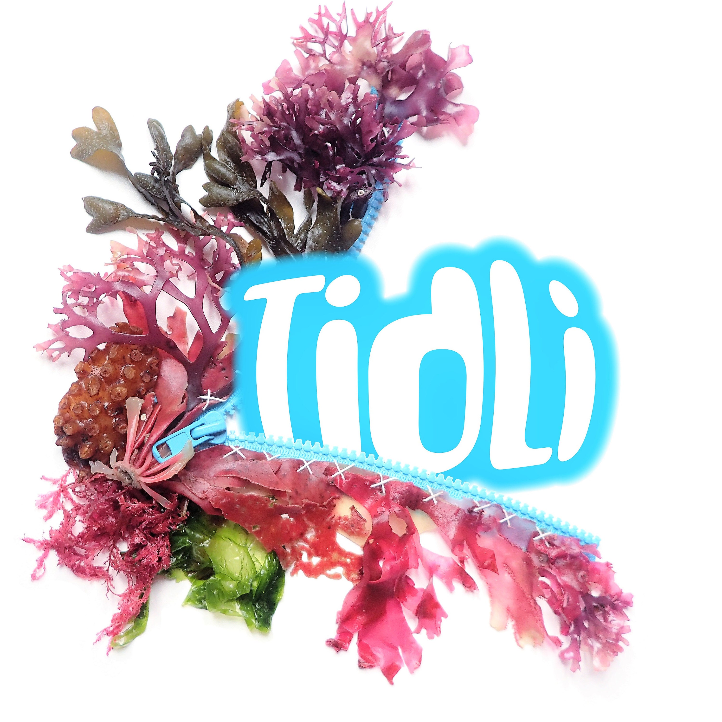 tidli - Etsy France
