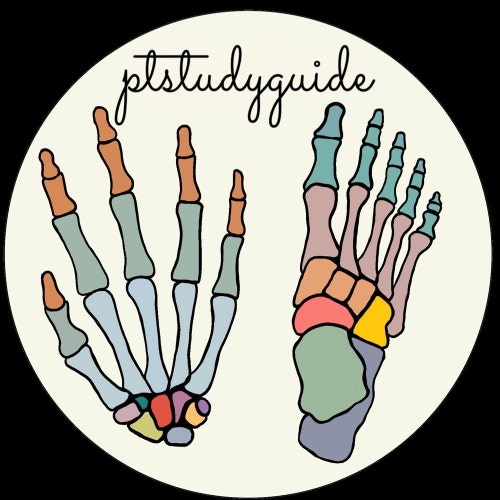 PTStudyGuide - Etsy