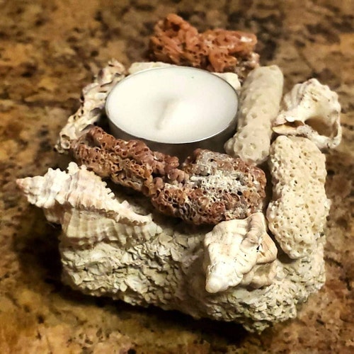 CustomSeashells - Etsy