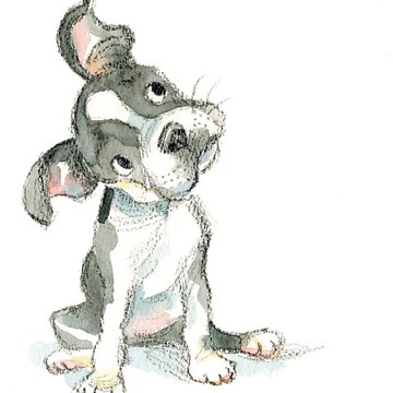 Paper Shed Design - Quality Greeting Cards