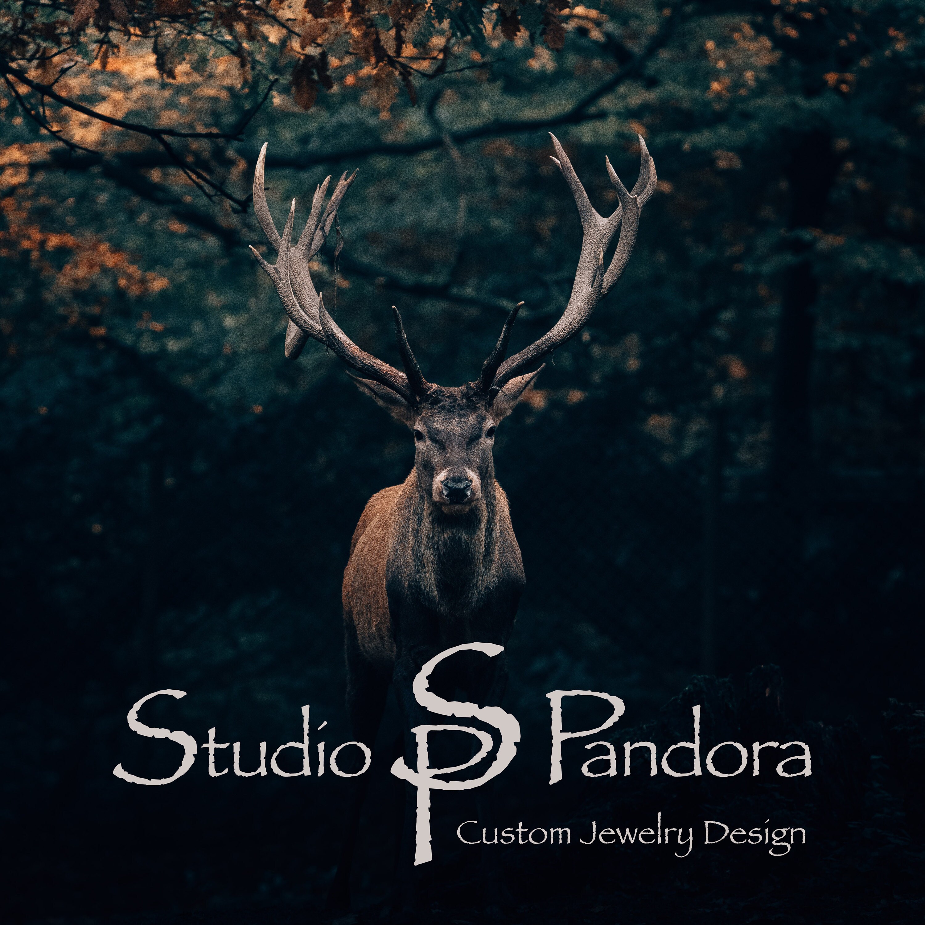 StudioPandora - Etsy