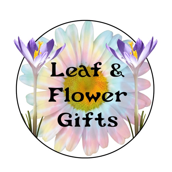 50 Gram Akar Bajakah Dried Root From Borneo - Etsy