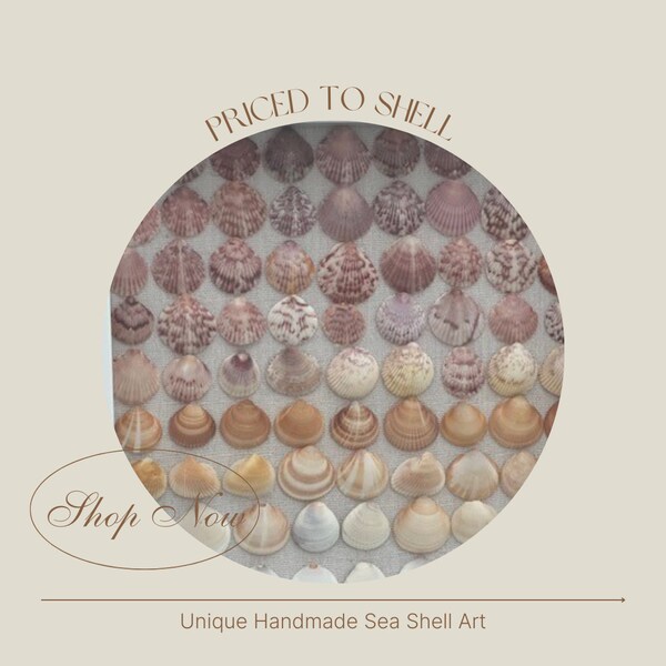 Handmade Pink Sea Shell Art in White Shadow Box - Etsy