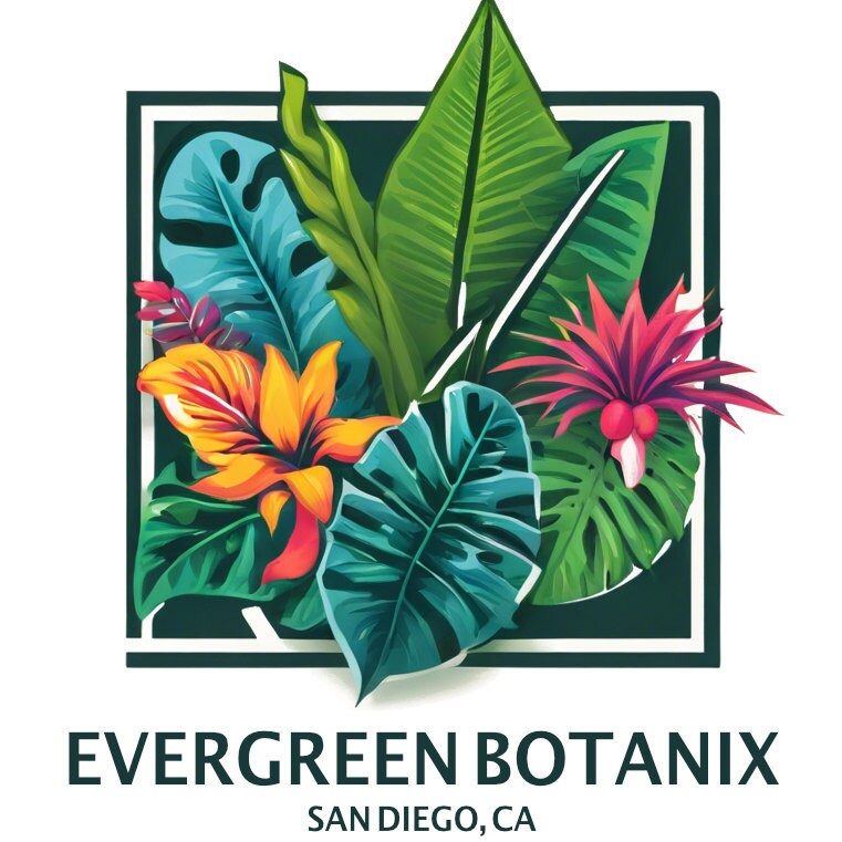 EvergreenBotanix - Etsy