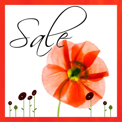 Emilynn - Etsy