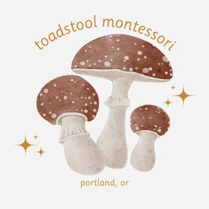 Dinosaur Fossil Identification Cards - Etsy