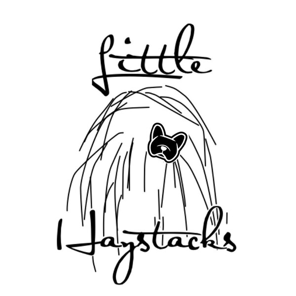 Tortuga Chunky Malabrigo Bulky 5 Weight Merino Wool - Etsy