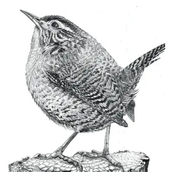 Large Print of Horse, Show Jumping Print, Vintage Print of a Sketch in ...