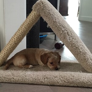 Large Window Perch - Etsy