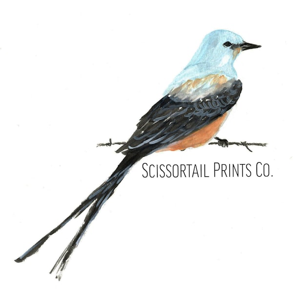 Northern Mockingbird Print Texas State Bird - Etsy