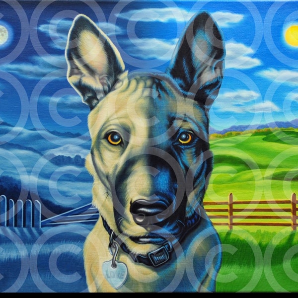 Bird Perch Original Oil Painting on Stretched Canvas With Wooden Frame ...