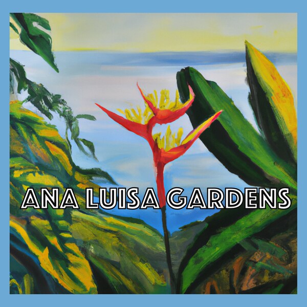 Red Ginger Rhizomes alpinia Purpurata 1 Live Rhizome - Etsy