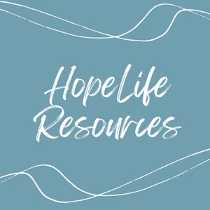 EMDR Therapist Resource Tool Container Exercise Script - Etsy