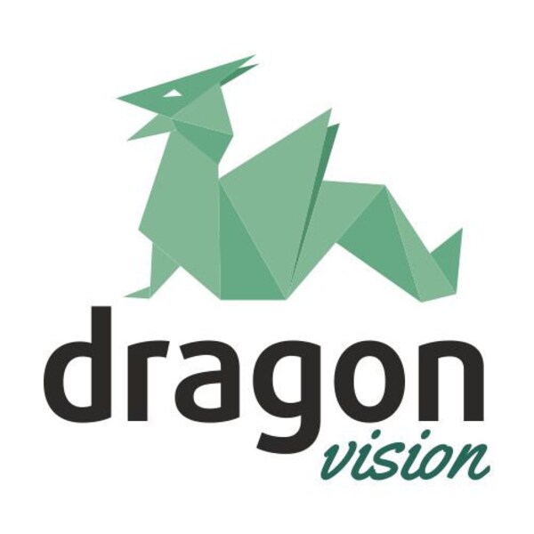 DragonVisionArt - Etsy