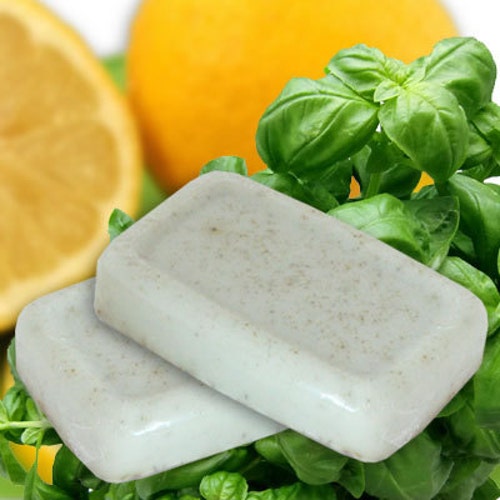 ChicoSoap - Etsy