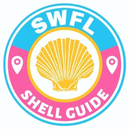 SWFLShellGuide - Etsy