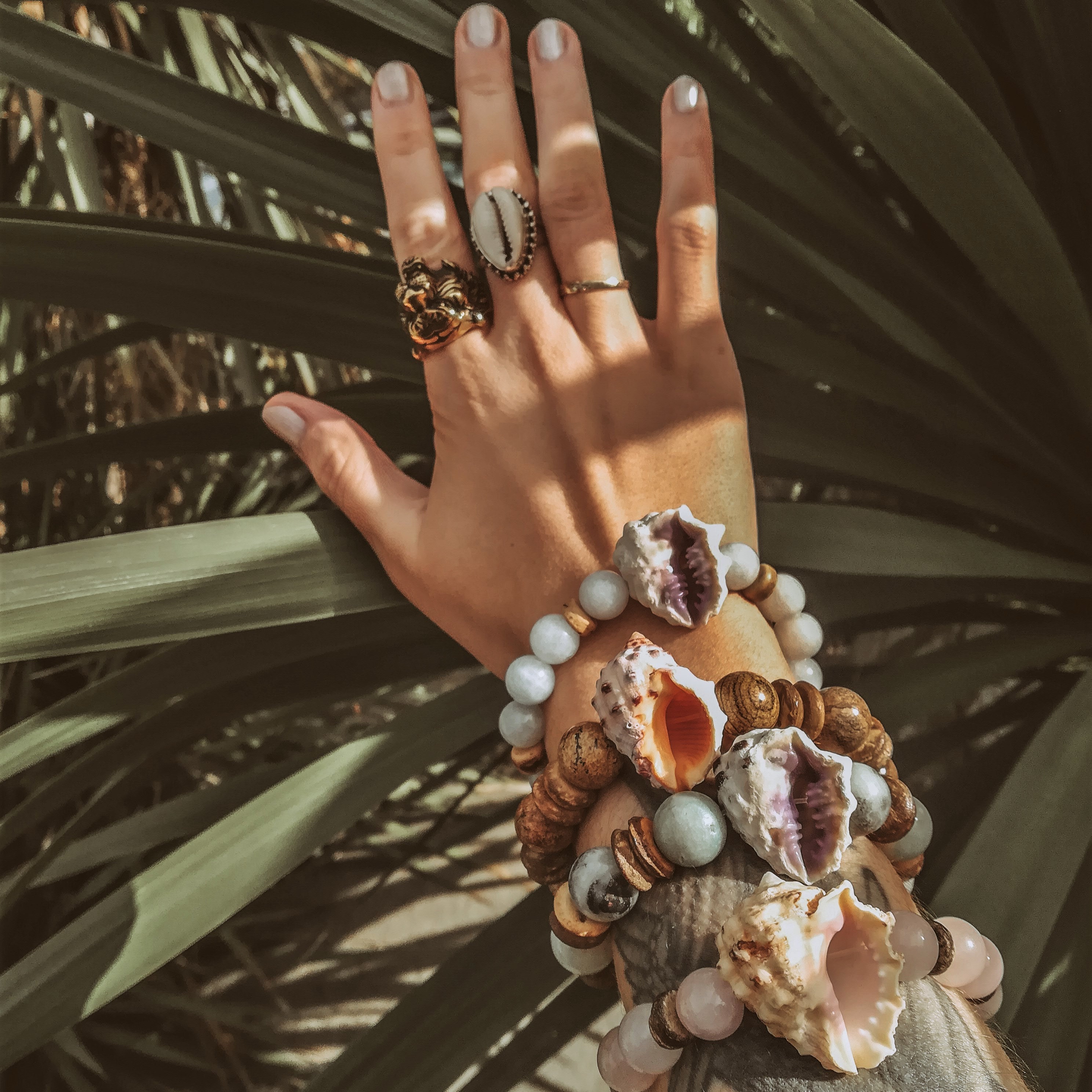 ShellsOfNature - Etsy UK