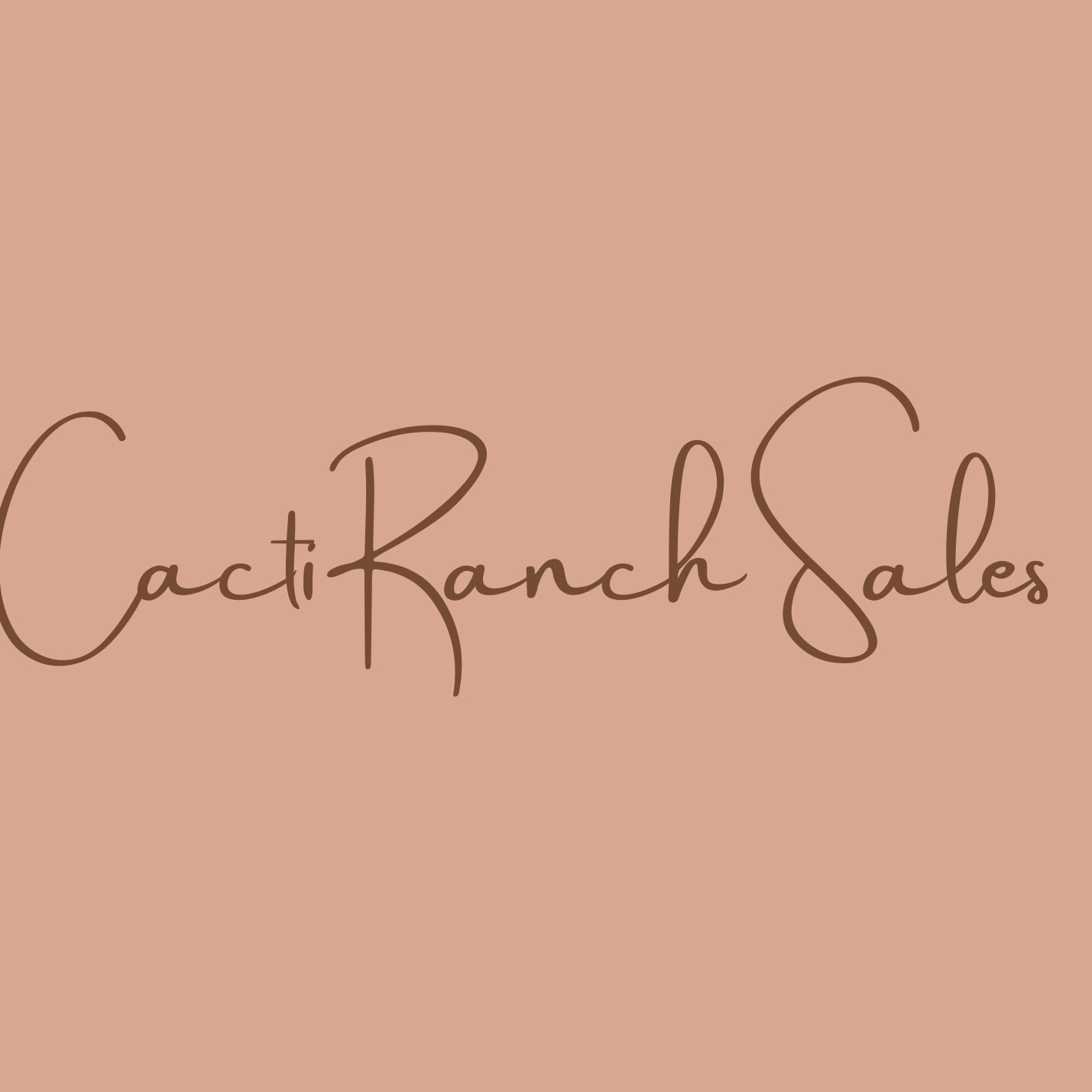 TheCactiRanch - Etsy