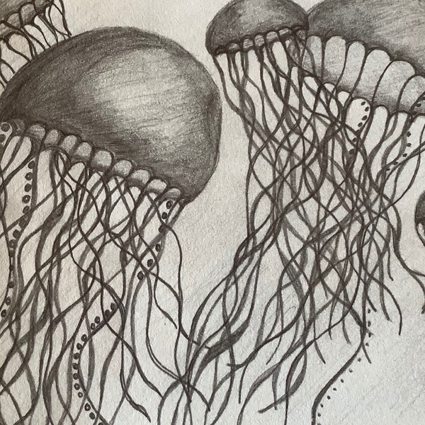Jellyfishbyjill - Etsy