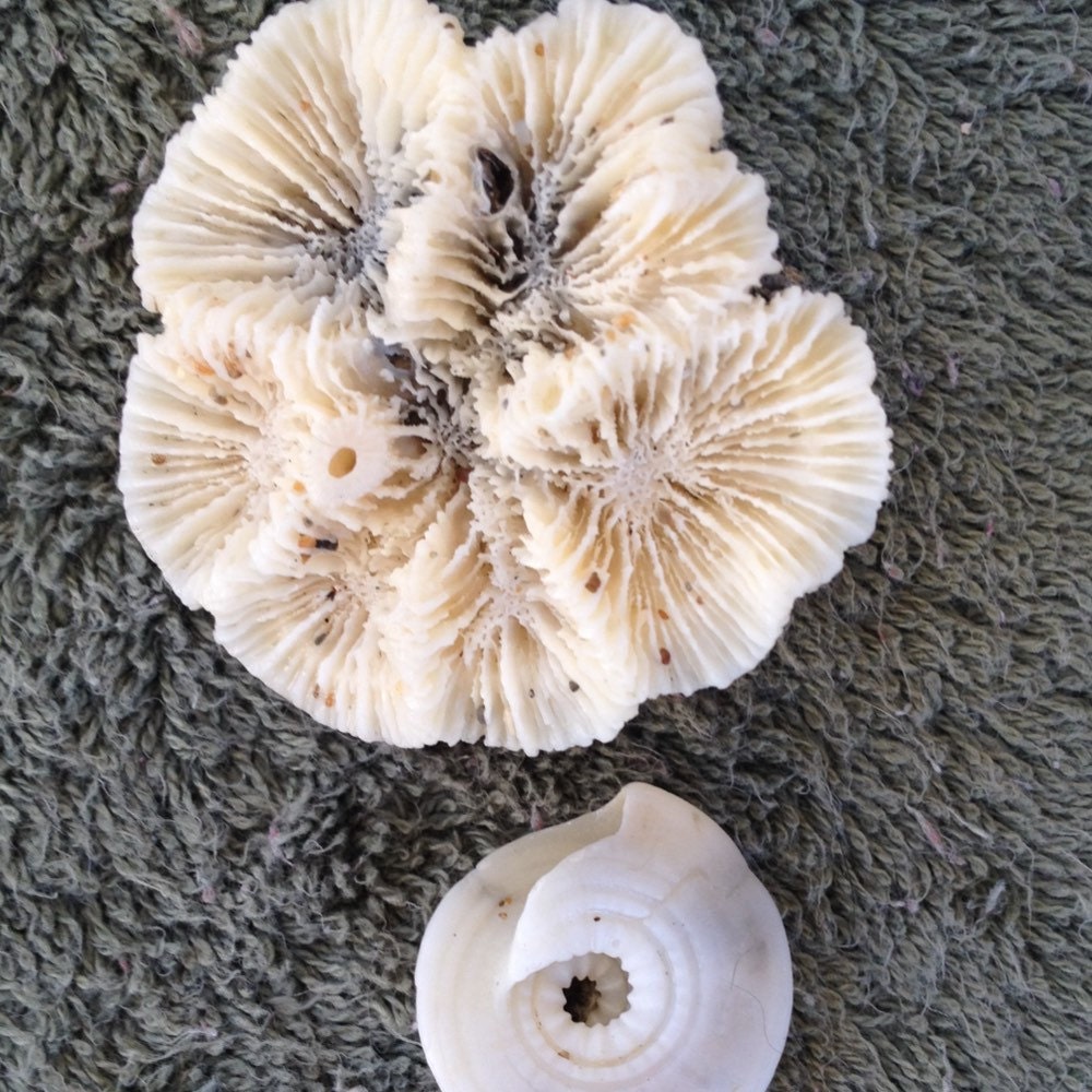 Home & Living Home Décor Prints Vintage Chinese Lee Ngo Limited Edition ...