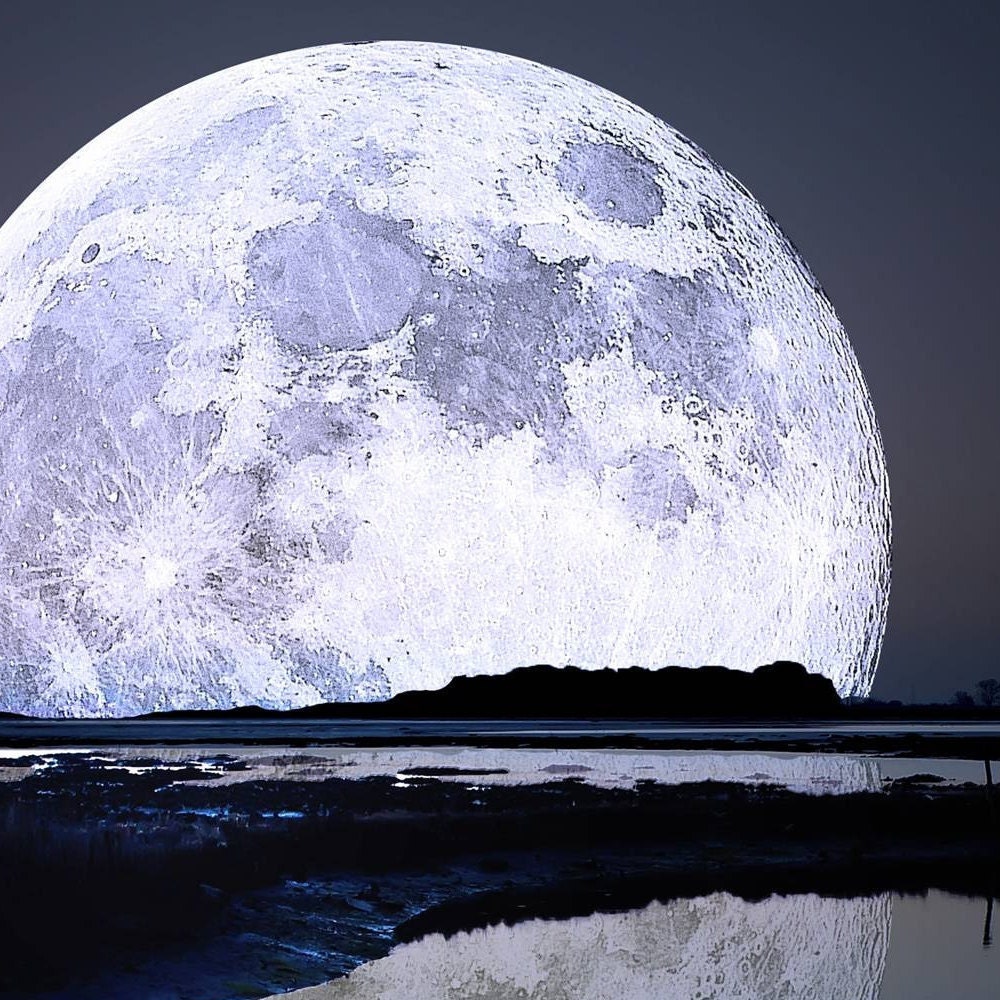 FwdThinkingLLC - Etsy