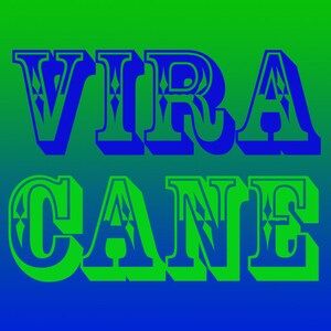 Walking Cane for Women Walking Cane Stick Hand Carved Walking Canes for ...