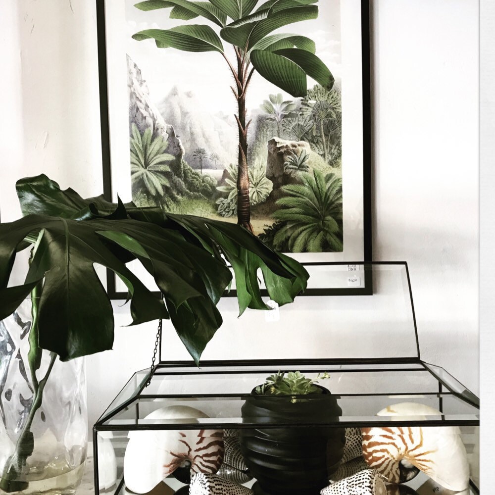 SentosaDesigns - Etsy