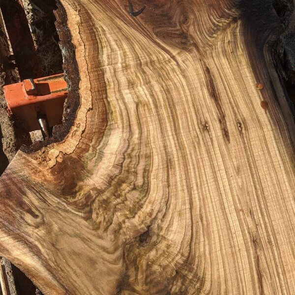 Live Edge Aromatic Red Cedar Slabs and Boards Raw Living Edges - Etsy