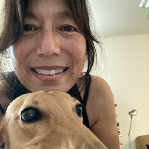 ProjectSerafina - Etsy