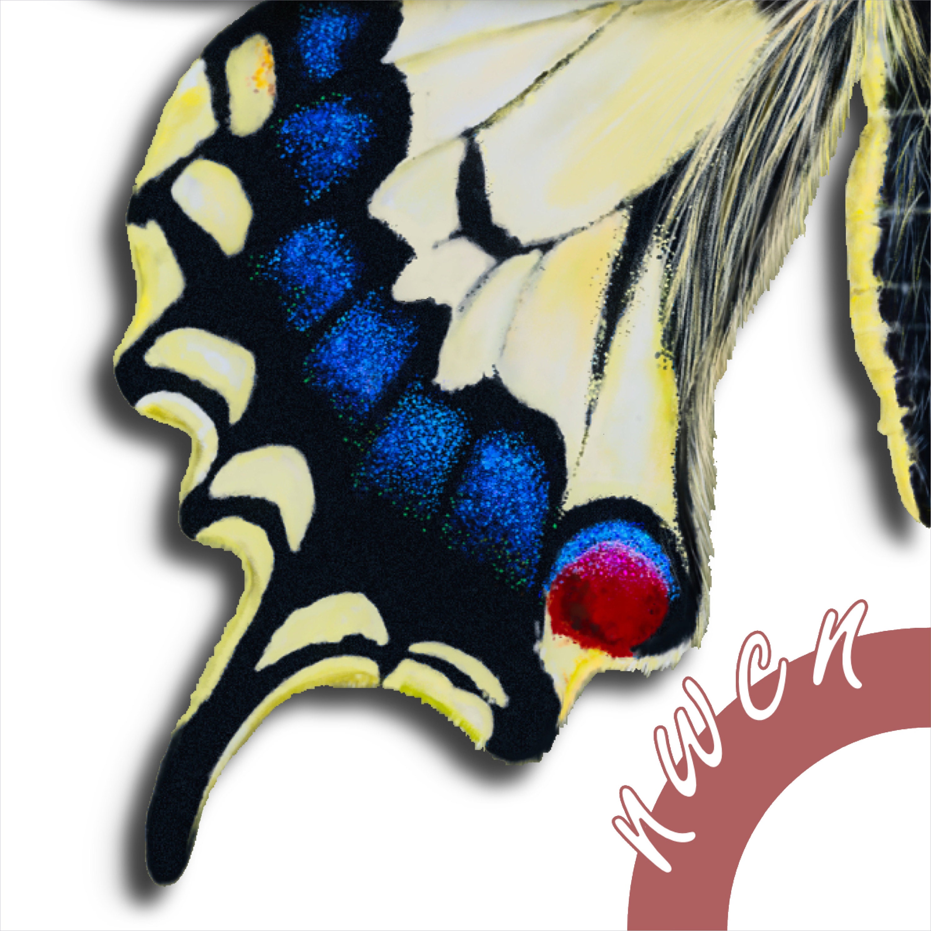 NWCN - Etsy
