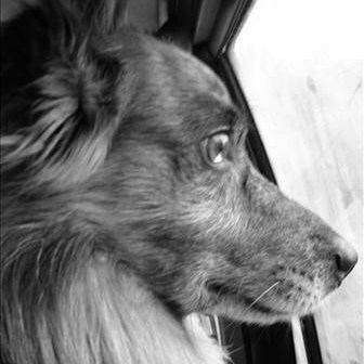 Memorabilia Vintage Ford Motor Co Parts Packaging Envelope FoMoCo ...