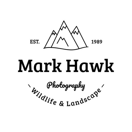 MarkHawkPhotography - Etsy
