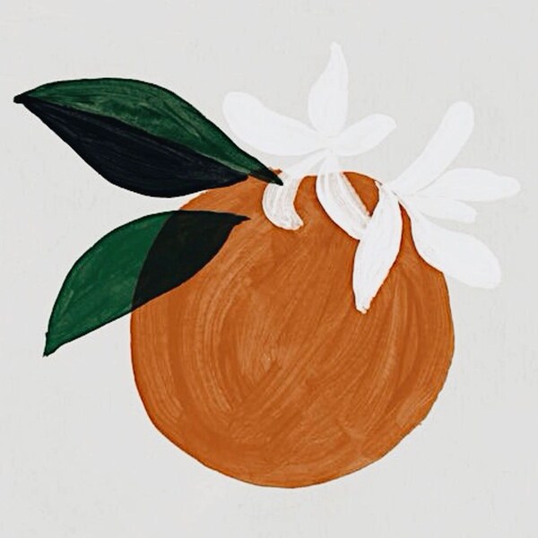 Vintage-inspired Miniature Shell Trinket Box - Etsy