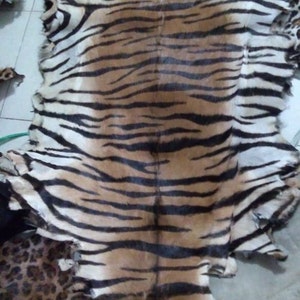 Tiger Rug Goat Skin , Animal Rug, Animal Skin Rug, Animal Skin Rug ...