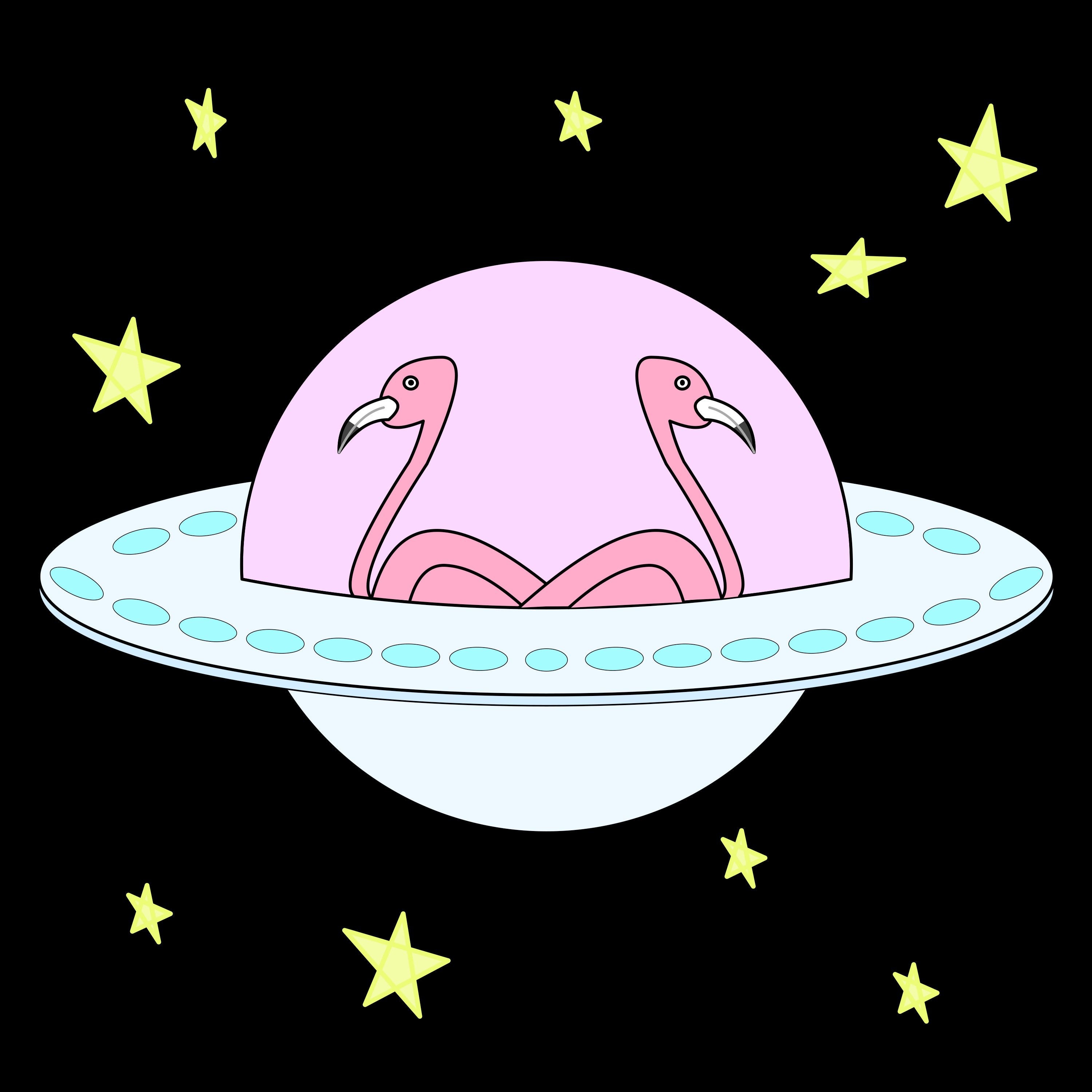 SpaceFlamingos - Etsy Canada