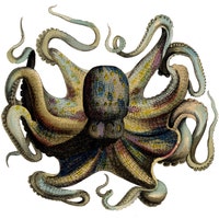 Rat Christ Ooak Cursed Crucifix Sculpture - Etsy Canada