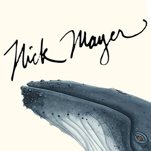 Coastal Gamefish of the Gulf of Maine Fish Art Poster - Etsy