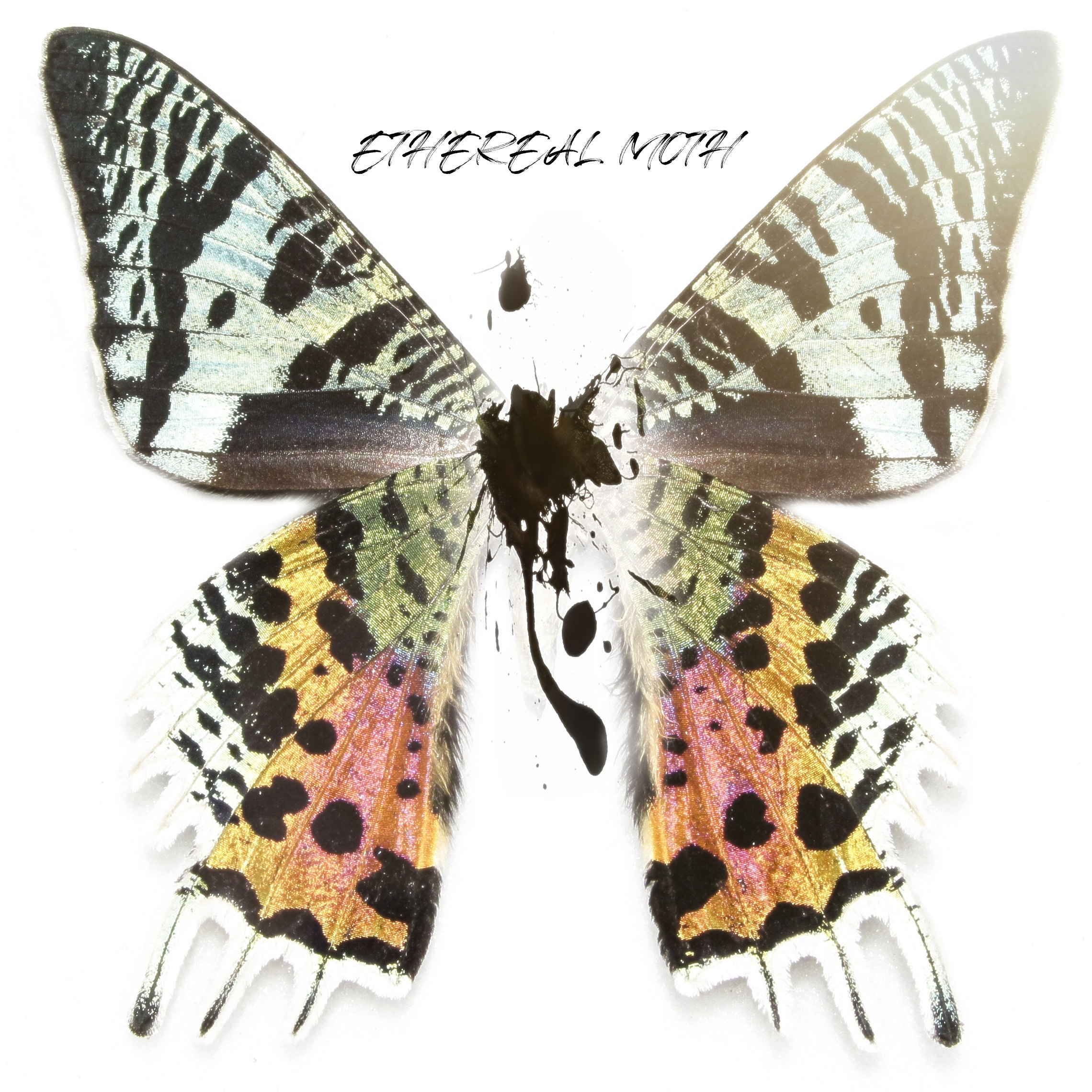 EtherealMoth - Etsy